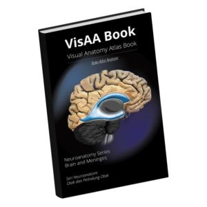VISAA - Visual Anatomy Atlas