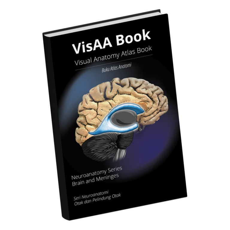 VISAA - Visual Anatomy Atlas